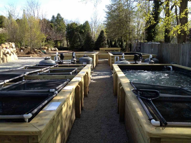 Mesh Fish Cage - Pond Nets